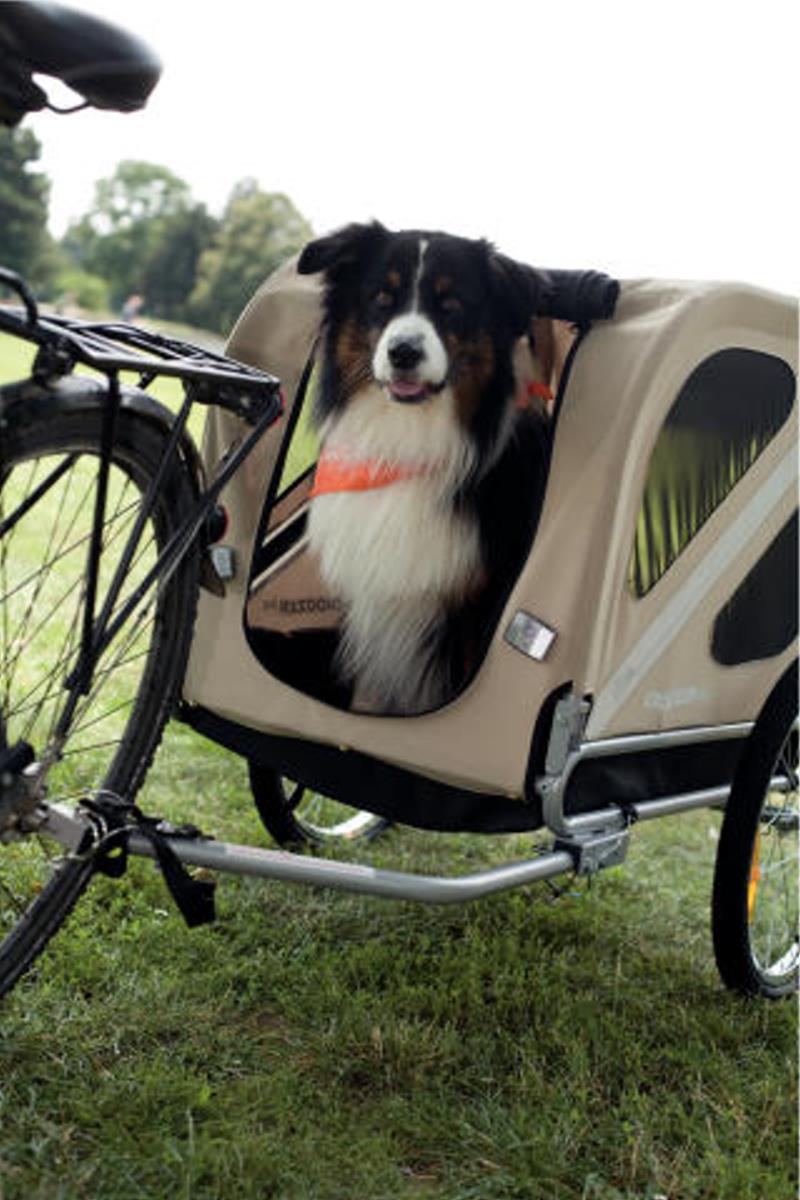Croozer Dog Transportanhänger 20"be/sa (204581)