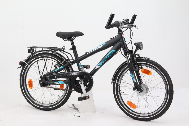 Pegasus Avanti 20 Zoll
