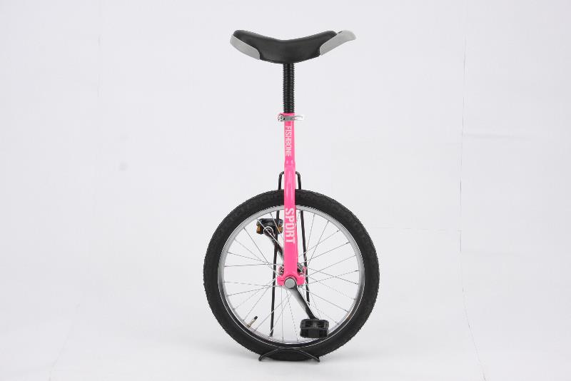 Fishbone Sport (202508)