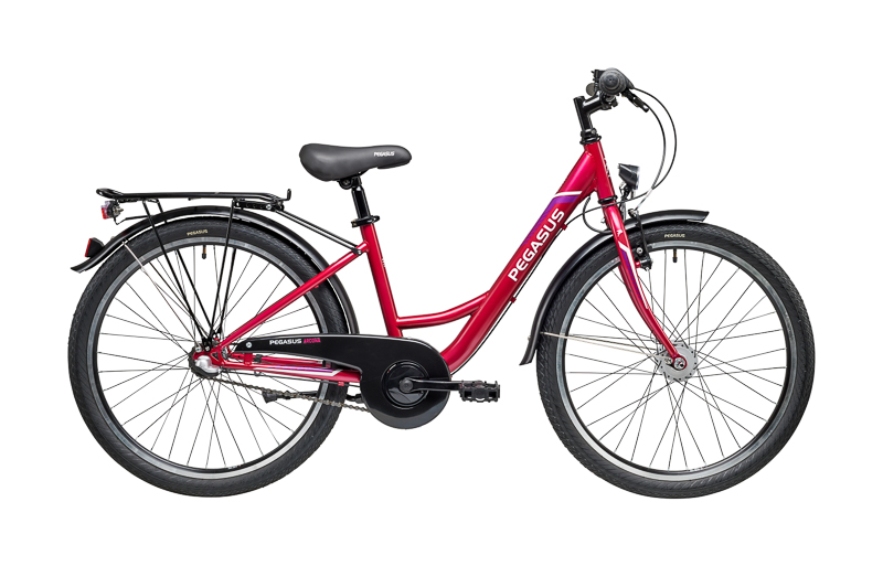 Pegasus Fahrrad 24 Zoll