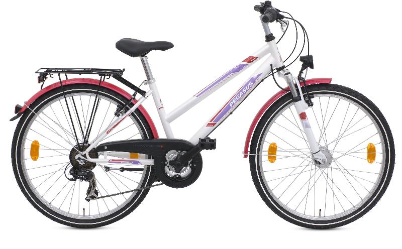 Pegasus Arcona ND FG 26 Zoll Damenfahrrad 21 Gang Kettenschaltung