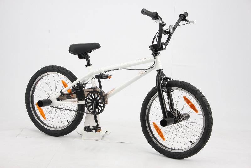 Fishbone FR 100 20" BMX Bike ws (2011) (334198)
