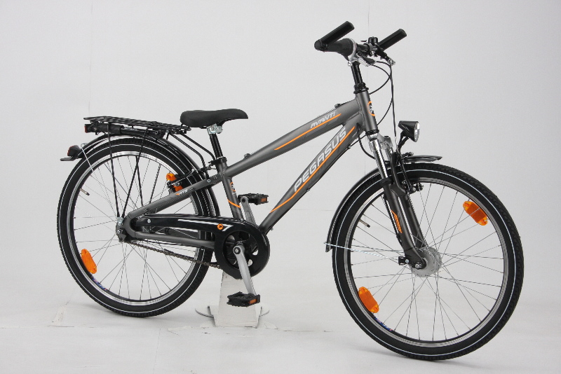 Pegasus 24 Zoll Jungenfahrrad 7 Gang Nabenschaltung grau