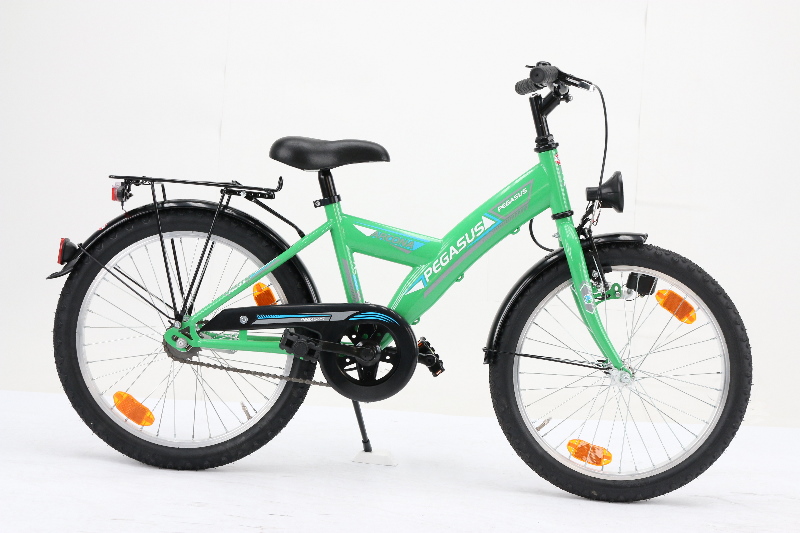 Pegasus Arcona 20 Zoll