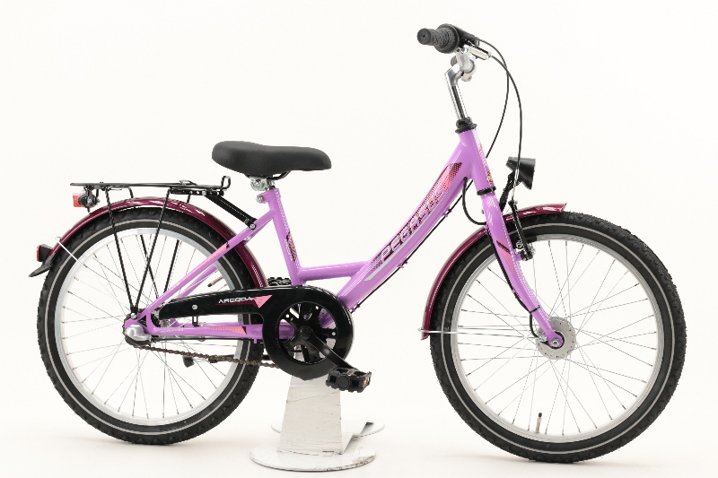 Pegasus Fahrrad 20 Zoll