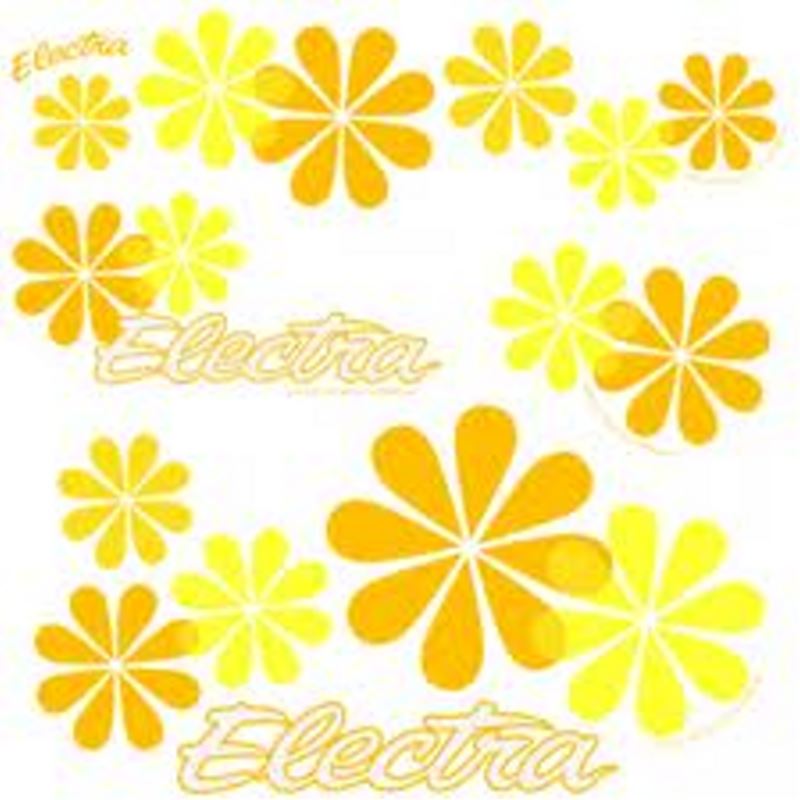 Electra Daisy Aufkleberset Blumen gelb (693666)