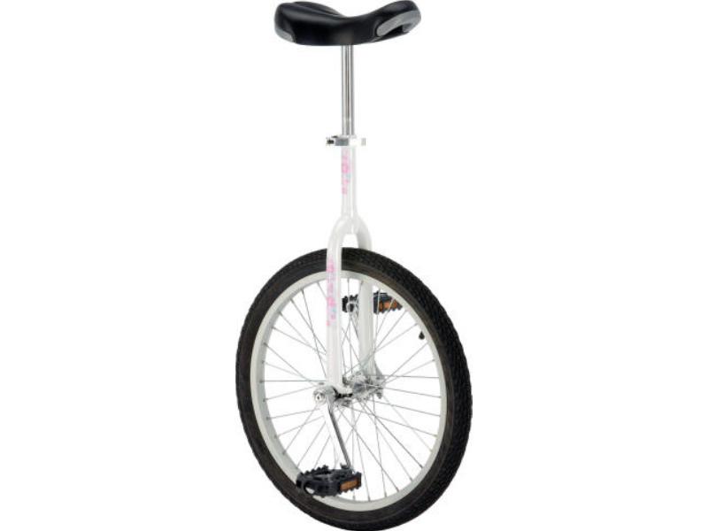 Fishbone Sport (201021)